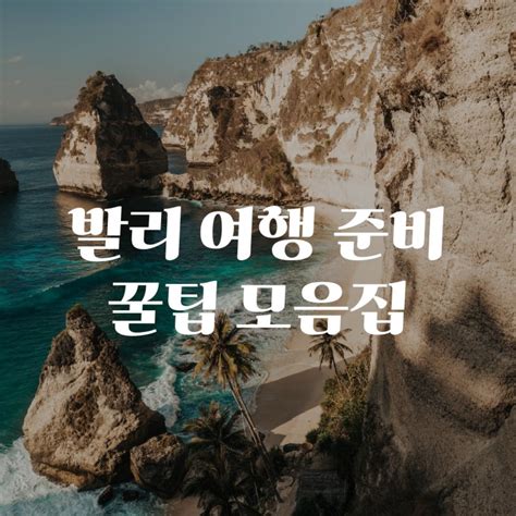 발리 여행 준비 꿀팁 유심esim환전 트래블 월렛왓츠앱고젝그랩사전예약 클룩공항픽업각종투어입국서류사전에