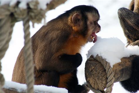 Zoo Salzburg - Gruppenreisen mit groupedia