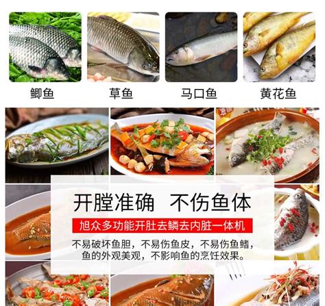 Xz 028全自动杀鱼机 杭州赛旭食品机械有限公司