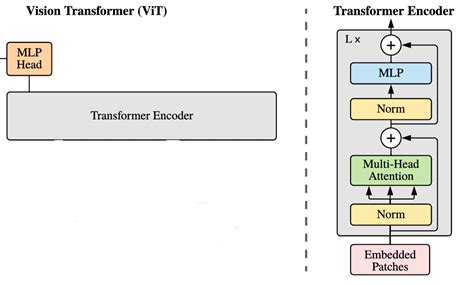 手把手教你实现pytorch版vit：图像分类任务中的transformer实战 Csdn博客