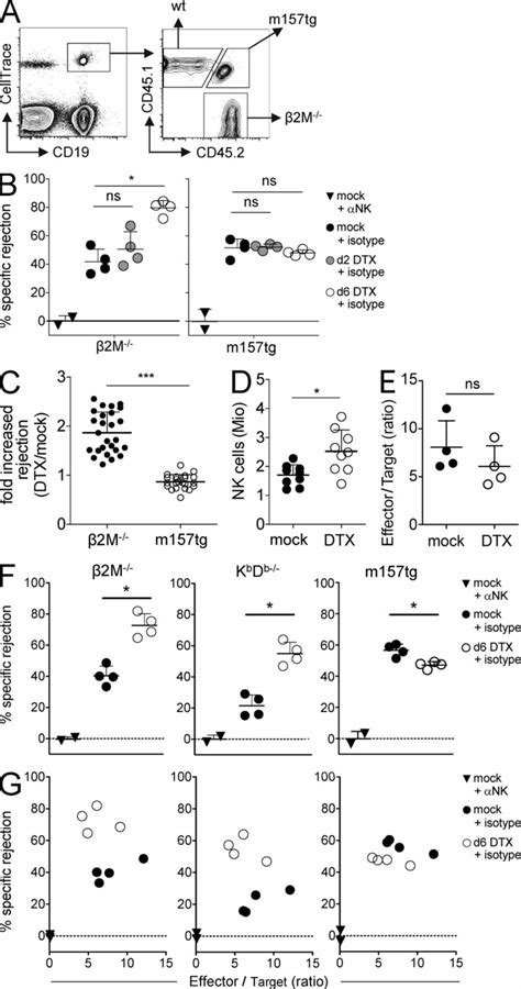 T Reg Cells Limit Nk Cell Missing Self Recognition Foxp3dtr Mice Were Download Scientific
