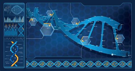 Futuristic Computer Screen Showing An Analysis Of A Dna Segment Vector Image 11539579 Vector