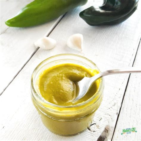 Green Pepper Hot Sauce Instant And Homemade Harvest2u