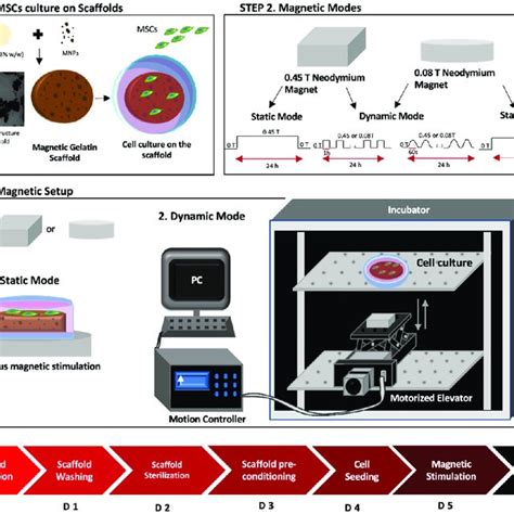 A Schematic Setup For Static And Dynamic Magnetic Field Modes Using Download Scientific