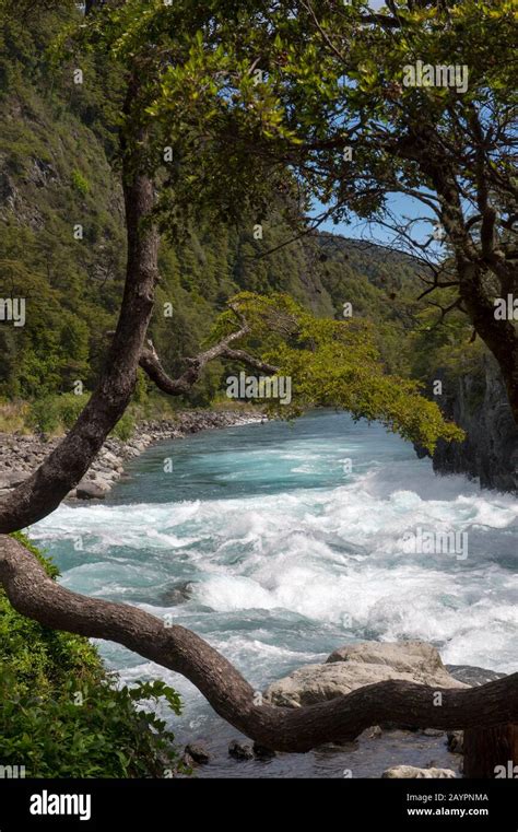 The Petrohue River In Vicente Perez Rosales National Park Near Puerto