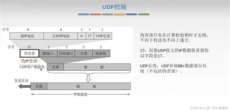 Udp协议 Csdn博客
