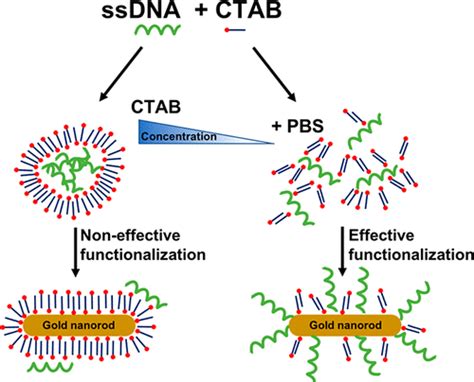 Ctab Acs Applied Bio Materials X Mol