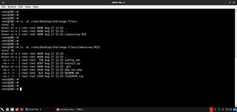 CVE LimeSurvey RCE INE