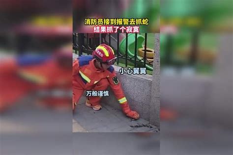 消防员接到报警去抓蛇，结果抓了个寂寞，这一扔多少带点小失望报警结果