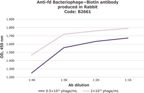 Anti Fd Bacteriophage−biotin Antibody Produced In Rabbit Anti Fd