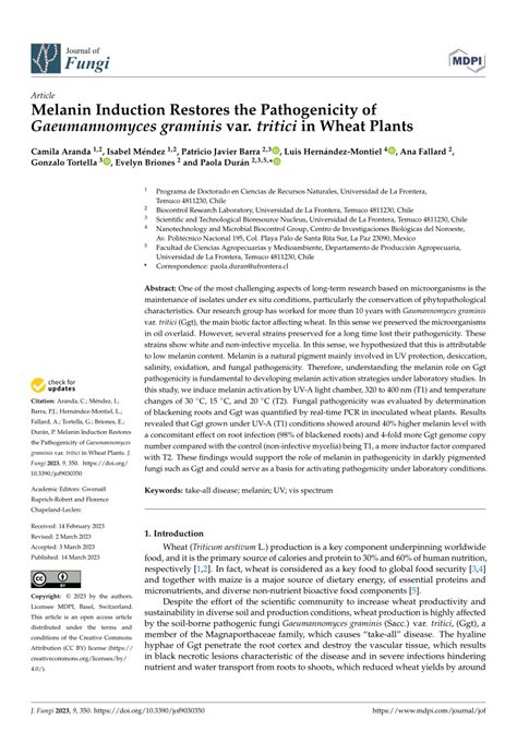 Pdf Melanin Induction Restores The Pathogenicity Of Gaeumannomyces