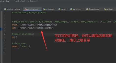 【2023 pytorch 检测教程】手把手教你使用yolov5做麦穗计数 yolo统计计数 csdn博客