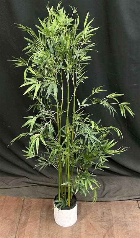 lot faux bamboo tree in ceramic planter