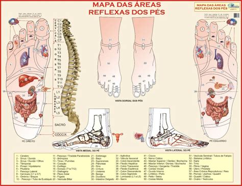 Reflexologia Podal Seus Pés Dizem Muito Sobre Você
