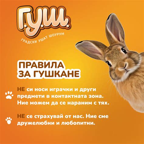 ГУШ Градски Ушат Шоурум Sofia