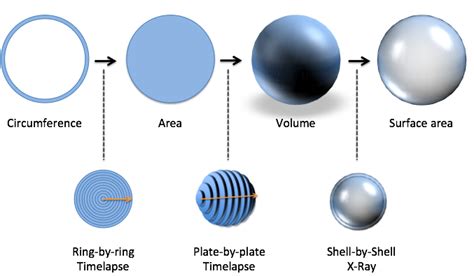 Calculus Better Explained Summary Betterexplained