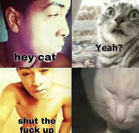 Llj 🕊 Rxxxtentacion