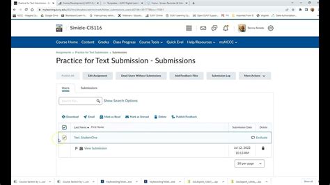 Using View Submission In Assignments In Brightspace Youtube