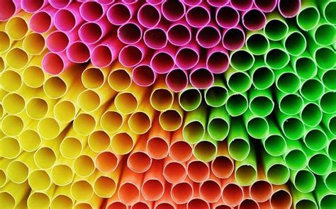Qué es la Tripofobia Causas síntomas y tratamiento