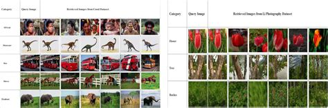 Figure 6 From Improving Cbir Accuracy Using Convolutional Neural Network For Feature Extraction