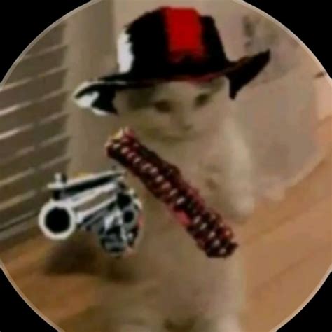 Revolvercat Youtube