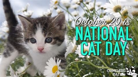 Pet Calendar Happy Cat Month Positively Woof