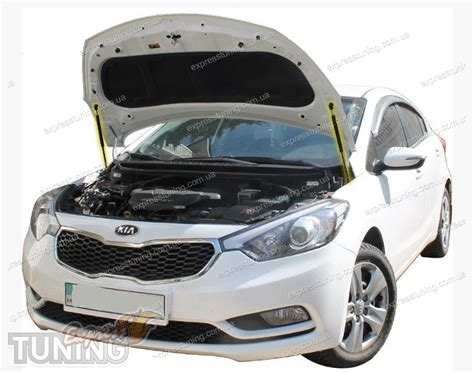 Газовый упор капота Kia Cerato 3 оригинал 2шт EURO UPOR | Интернет ...