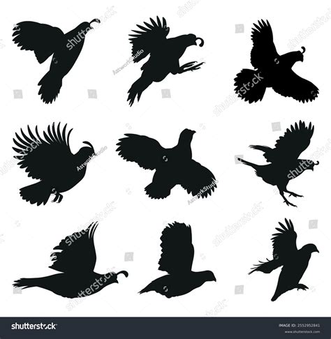 Flying Quail Over 257 Royalty Free Licensable Stock Illustrations