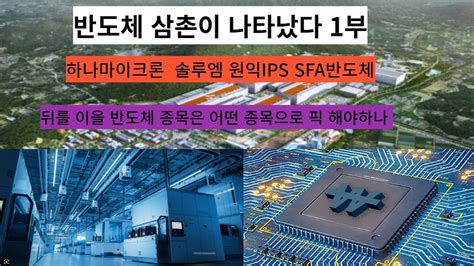 Ips Sfa Db