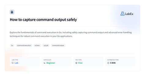 How To Capture Command Output Safely Labex