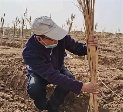 教育援疆丽水援疆教师林伟军获得新和县首届十佳教育工作者荣誉称号 热点 丽水在线 丽水本地视频新闻综合门户网站