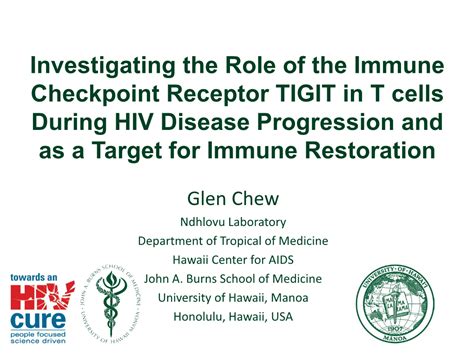 Investigating The Role Of The Immune Checkpoint Receptor Tigit In T Cells During Hiv Disease