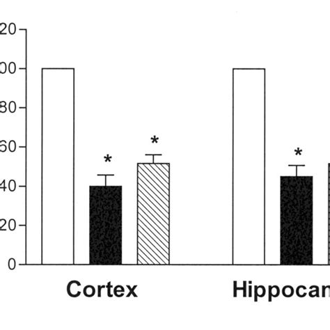 Vitamin E Reduces Brain Lipid Peroxidation Levels Of Total Download Scientific Diagram