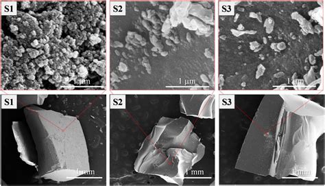 Sem Micrographs Of S1 S2 And S3 Download Scientific Diagram