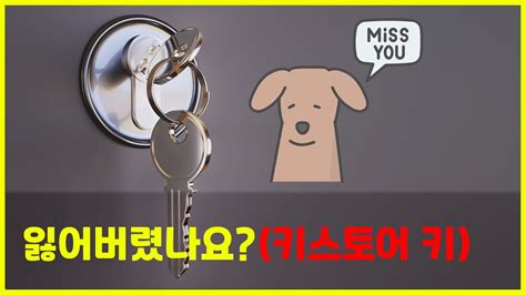 플레이스토어 인증키 Keystore 분실 시 재설정하는 방법 Youtube