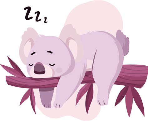 مجموعه عکس Png کوالا رو شاخه درخت اکالیپتوس بدون زمینه رایگان