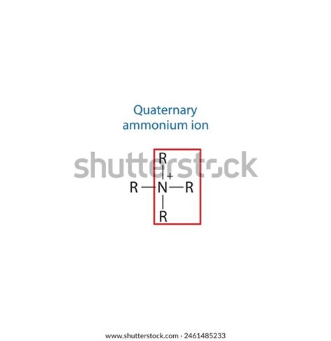 88 Quaternary Ammonium Compounds Stock Vectors And Vector Art