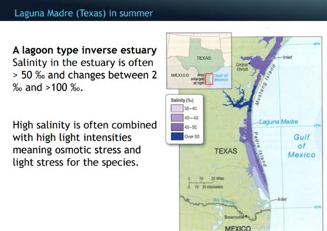 Lecture Adaptations To Extreme Environments Flashcards Quizlet
