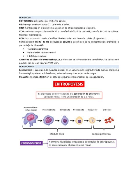Biometria Hematica Completa Leucocitos Biometriaaaaaaaa Seire Roja