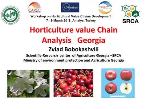 [ppt] Horticulture Value Chain Analysis Georgia Zviad Bobokashvili