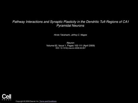 Hiroto Takahashi Jeffrey C Magee Neuron Ppt Download