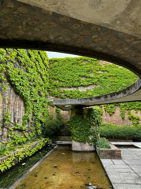 有关户外 オアシスウルバーノ 亭子 双年展 双年展花园 和平的 垂直拍摄 城市花园 外觀 天井 天性 威尼托 威尼斯