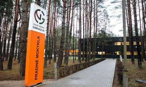 Pieštuku Vaikų Rankas Badžiusi Ir Jau Atleista Kauno Gimnazijos