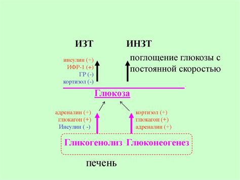 Регуляция углеводного обмена Лекция №2 презентация онлайн