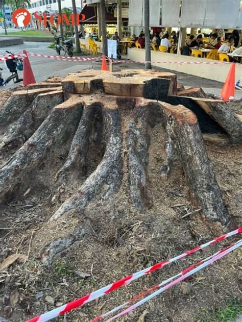 One Stray Cigarette Causes Beloved Angsana Latest News Stomp