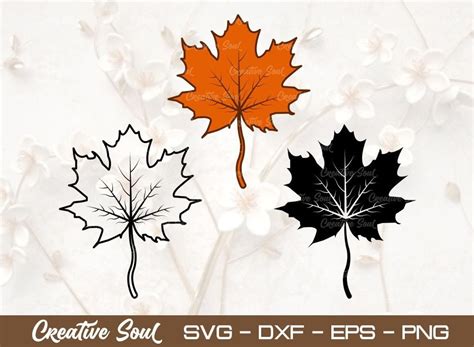 Maple Leaf Svg Cut File Graphic By Creative Soul · Creative Fabrica