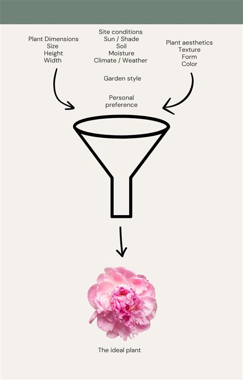 Design Your Dream Garden Guide Etsy