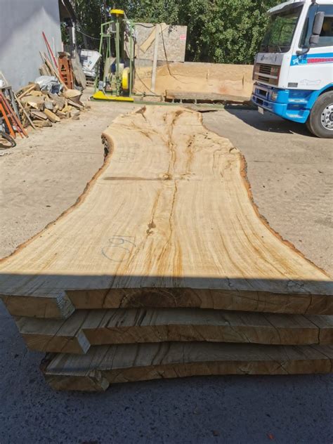 17 Sawmill For The Biggest Logs E Monster Sam Without Programmer