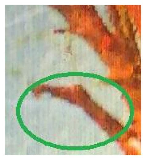 A~c Original Image D~f Soft Tissue Extraction Of Lung G~i