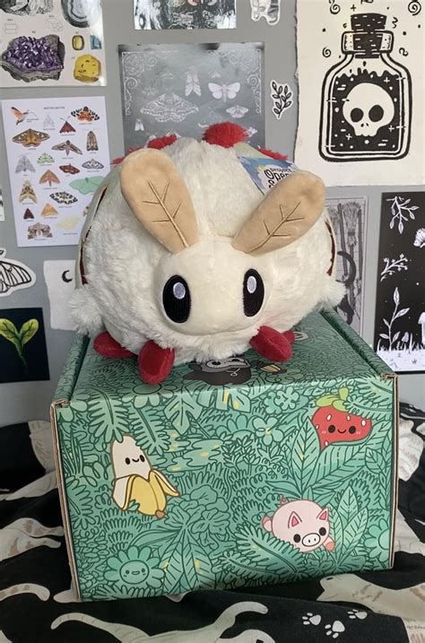 I Got Ted A Luna Moth By Squishables Because I Post My Moths On Tiktok Dd R Moths